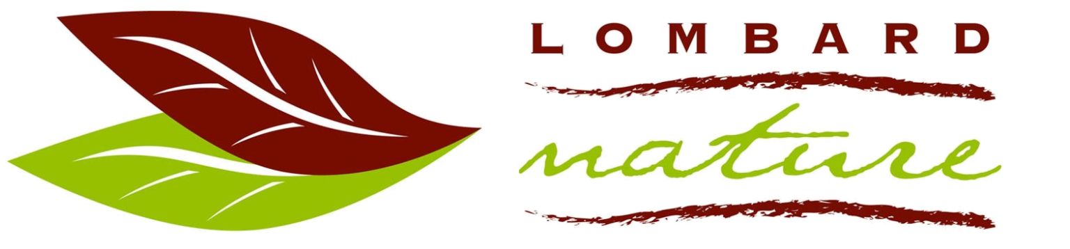 Promotion – LOMBARD NATURE